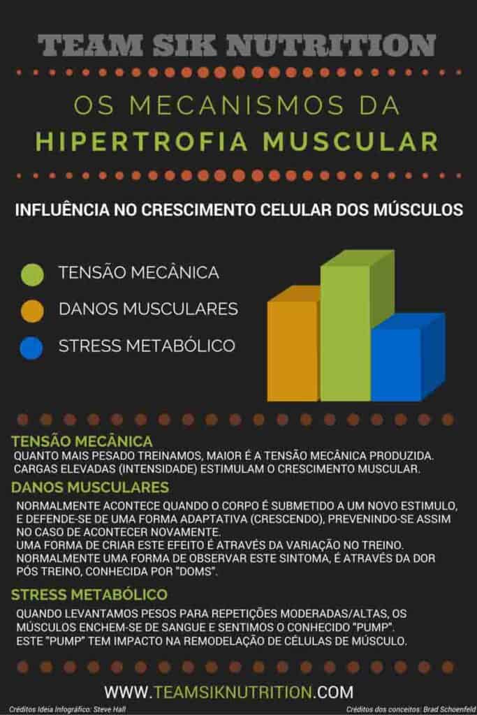 Hipertrofia muscular: optimiza tu entrenamiento