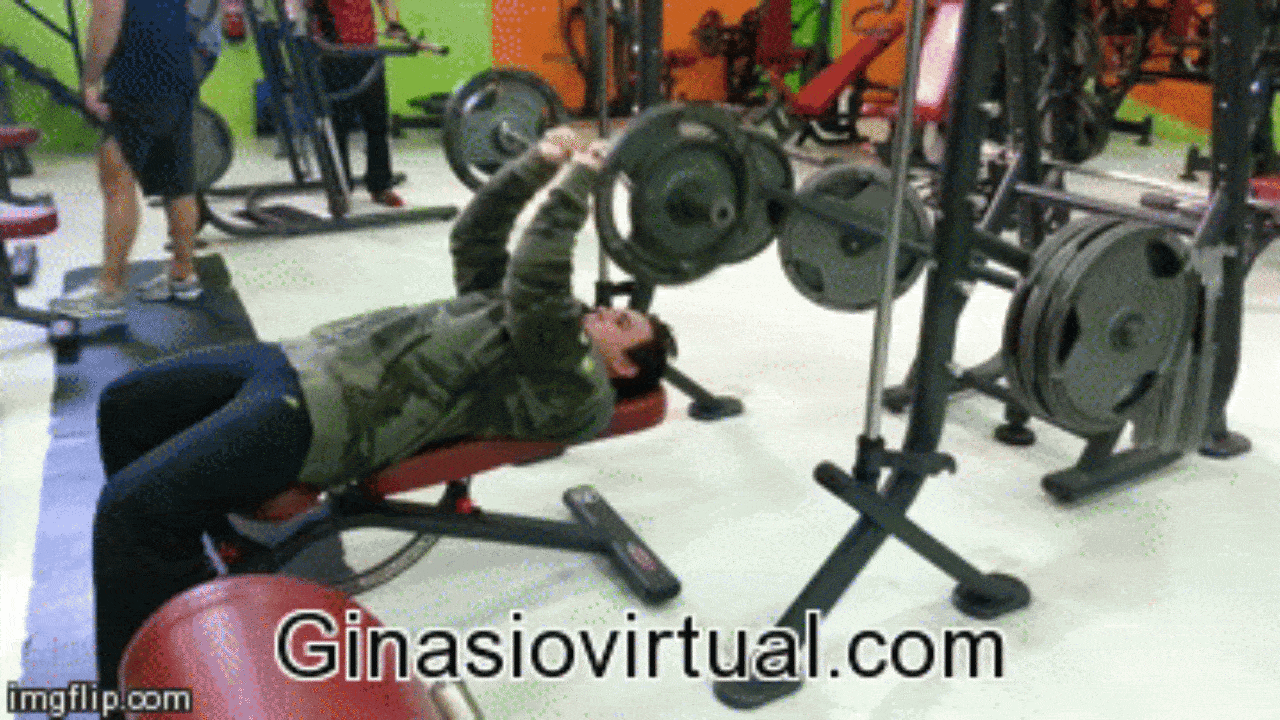 Os Melhores Exercícios para Aumentar os Tríceps e Bíceps