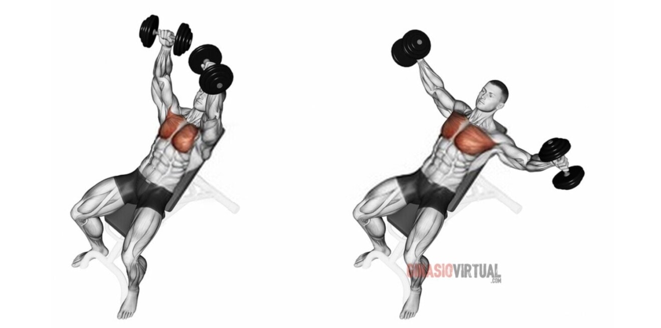 Ejercicios de pecho con mancuernas: Mejora tu entrenamiento